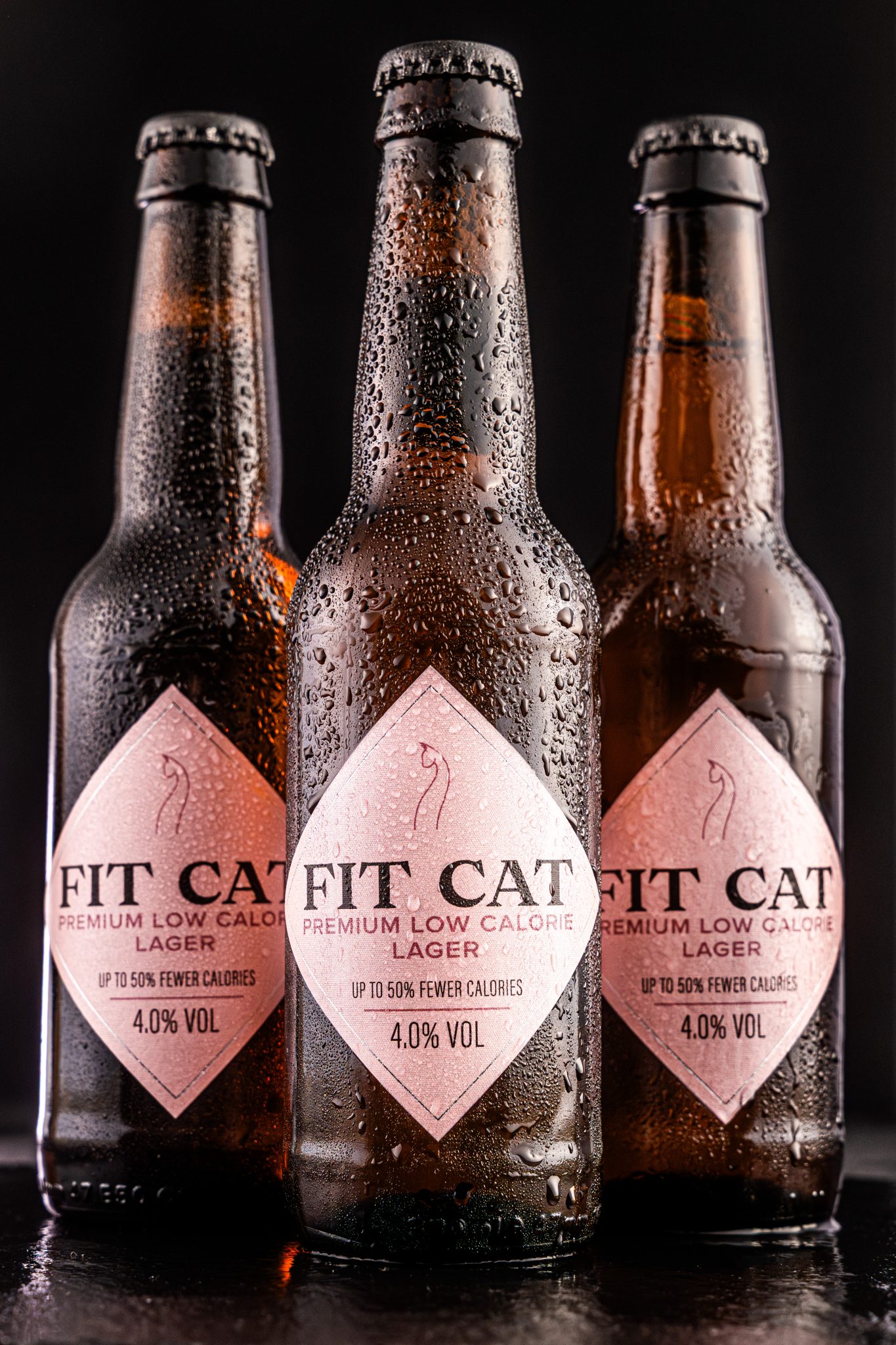 Fit Cat low calorie lager to launch in the UK - FMCG Magazine